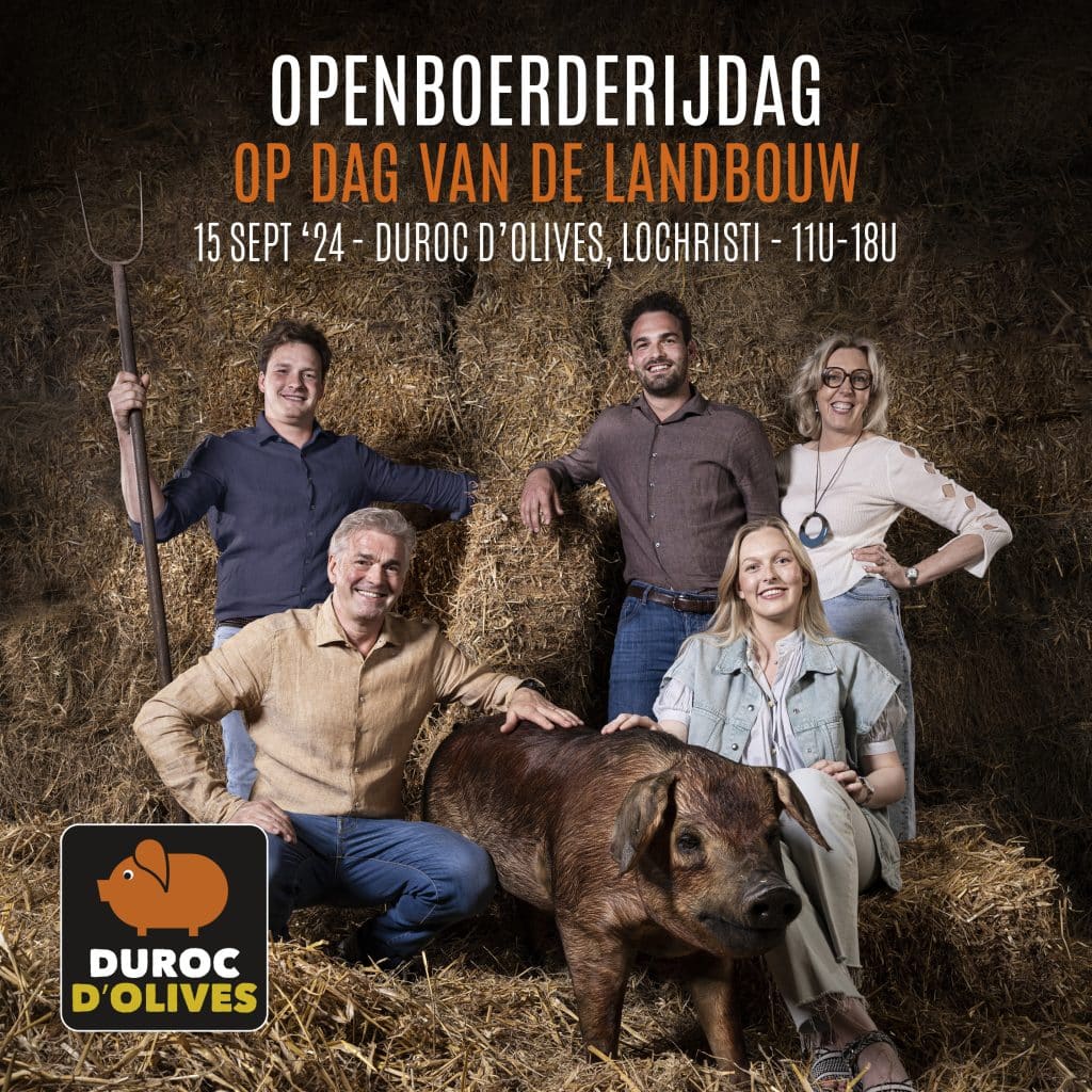 Het Duroc varken: een ras apart - Duroc d'Olives